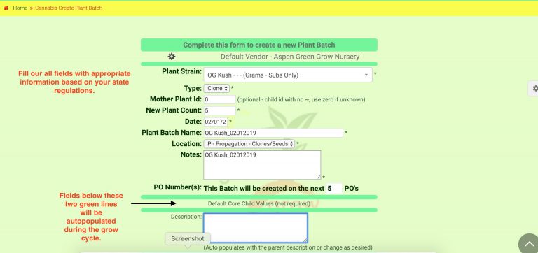 How to Start a New Plant Batch | Adilas