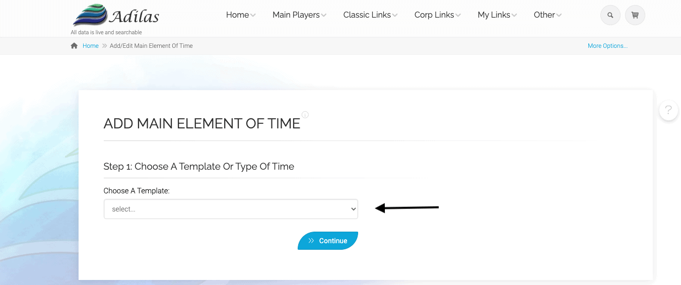 Track Project Time in Elements of Time | Adilas